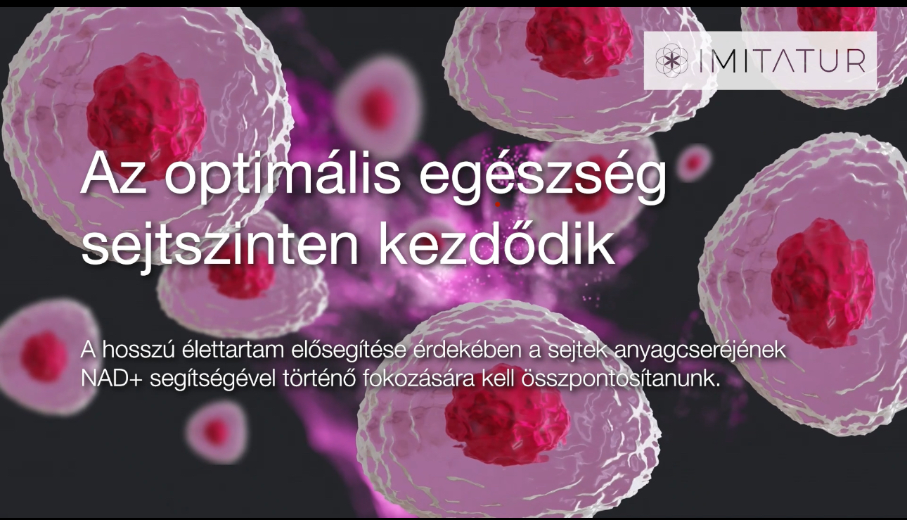 ReDNA & ReDNA AQUA az egészséges öregedésért